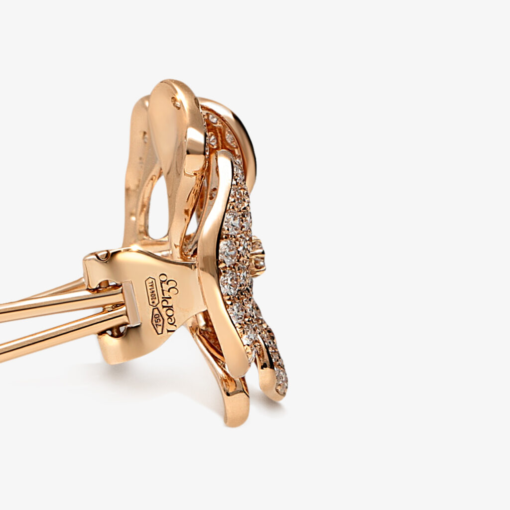 Leo Pizzo | Flora Collection