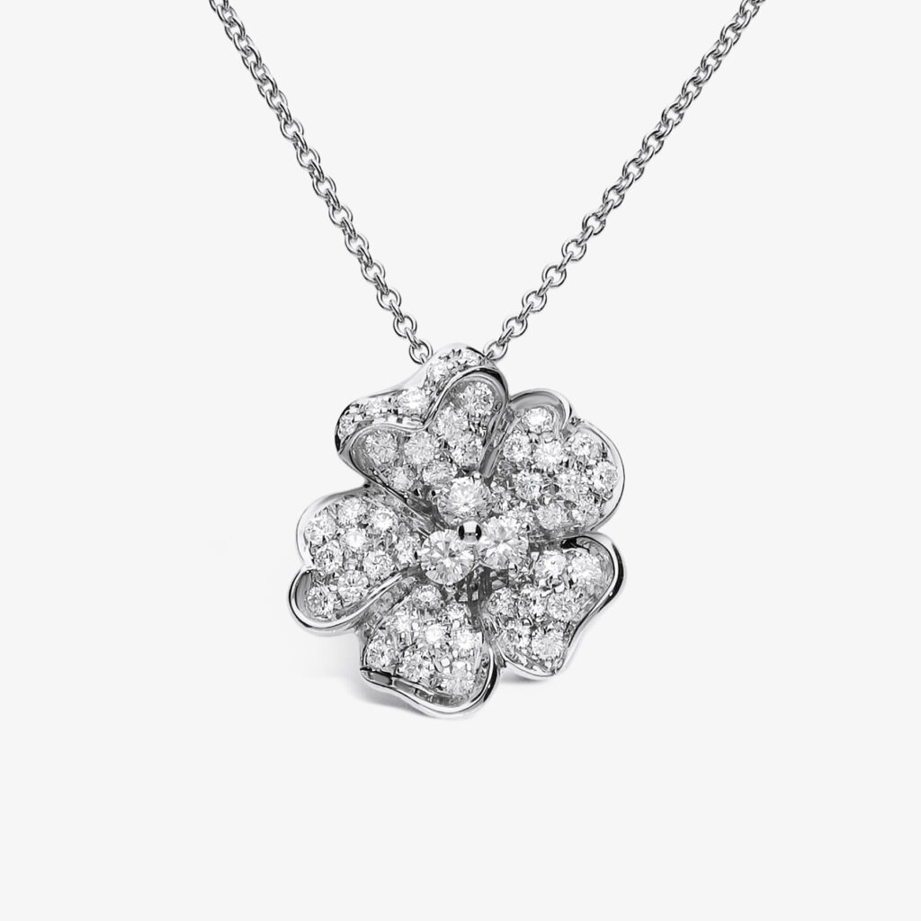 Leo Pizzo | Flora Collection