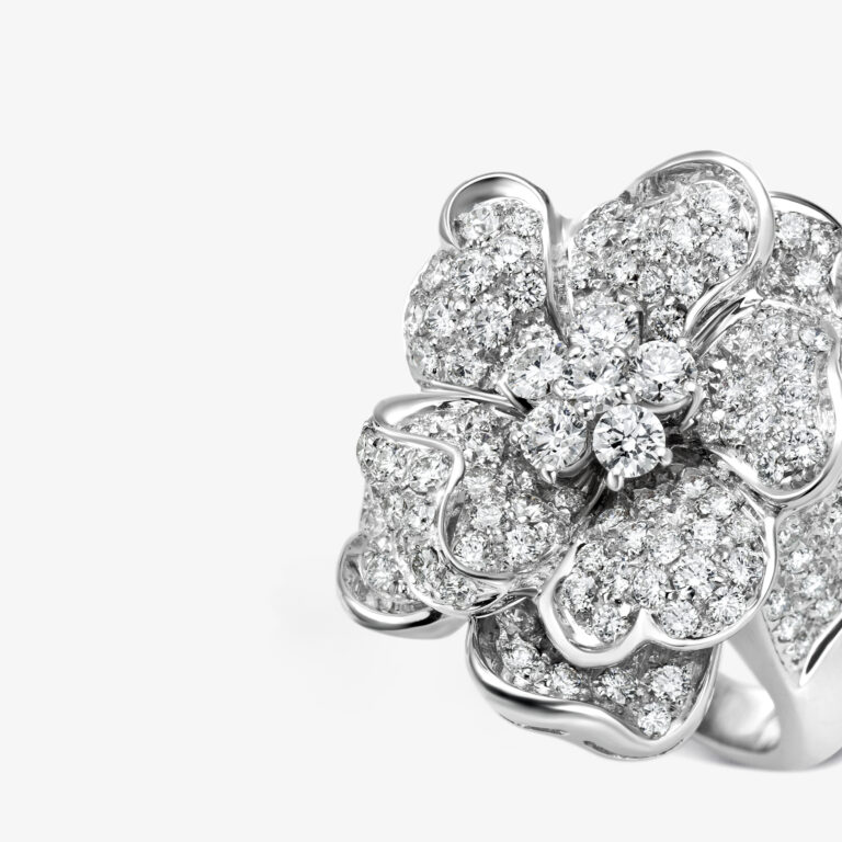 Leo Pizzo | Flora Collection