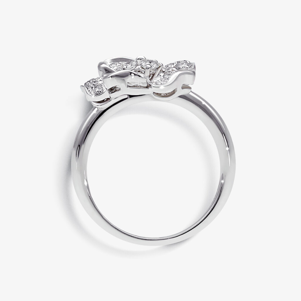 Leo Pizzo | Flora Collection