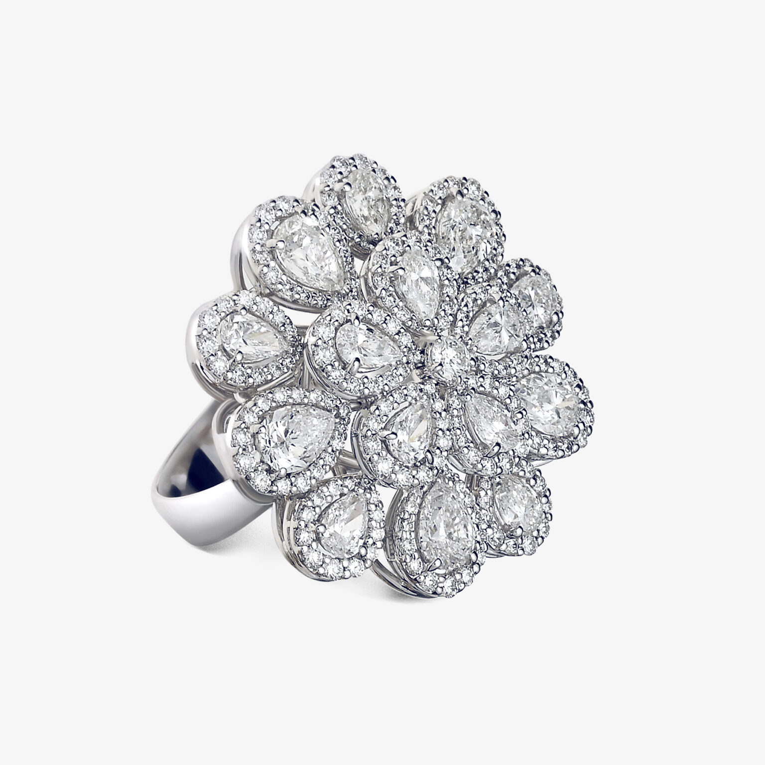 Leo Pizzo | Venezia Collection