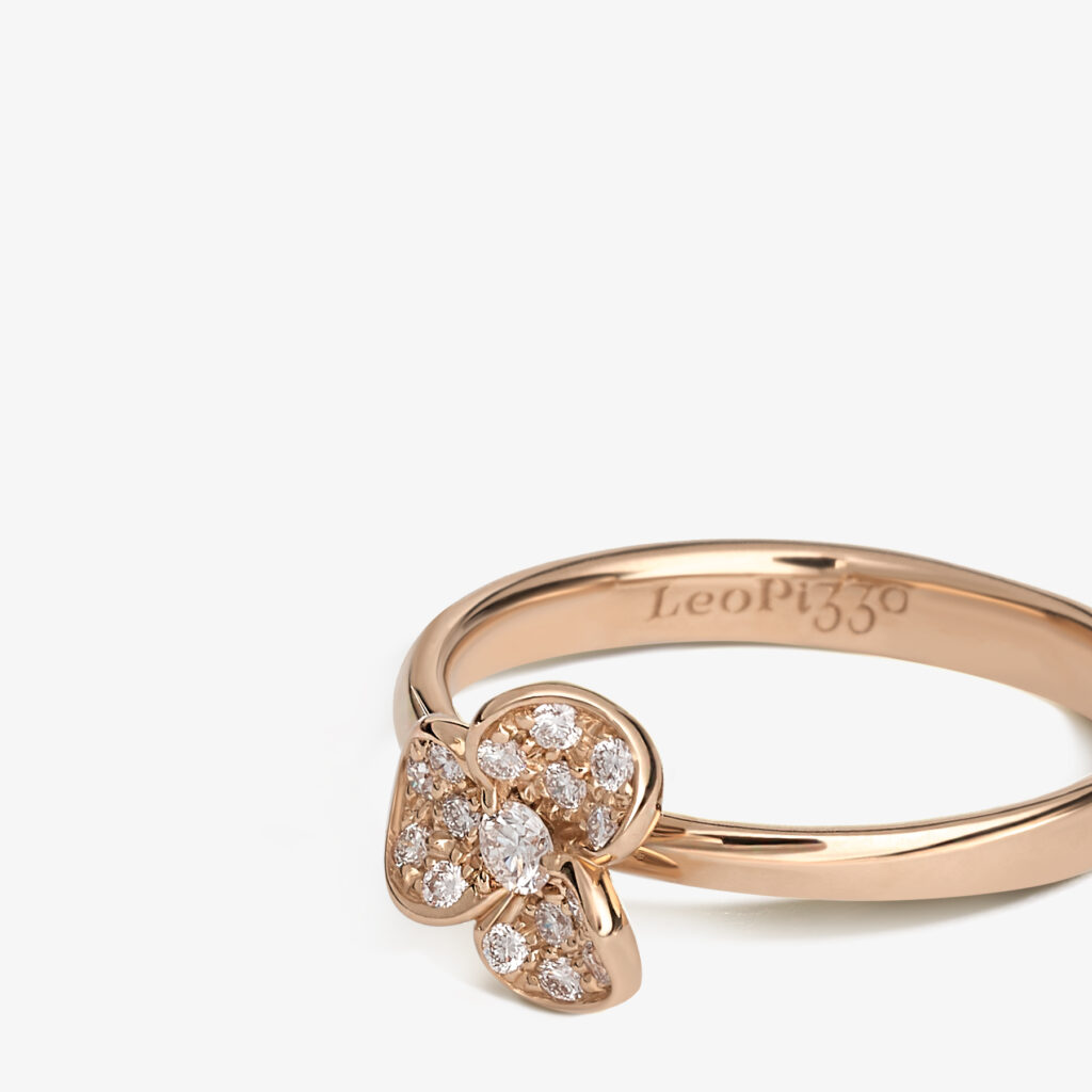 Leo Pizzo | Candy Flora Collection